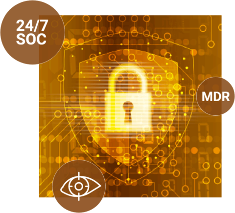 NetPulse - Mission Critical Partners